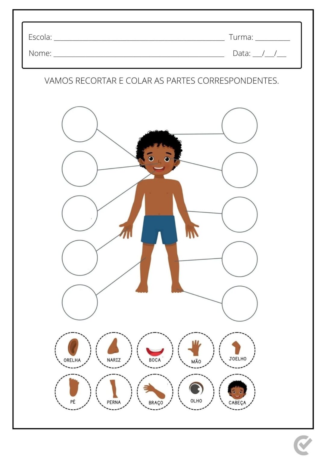 Texto Sobre O Corpo Humano - MAGEDU